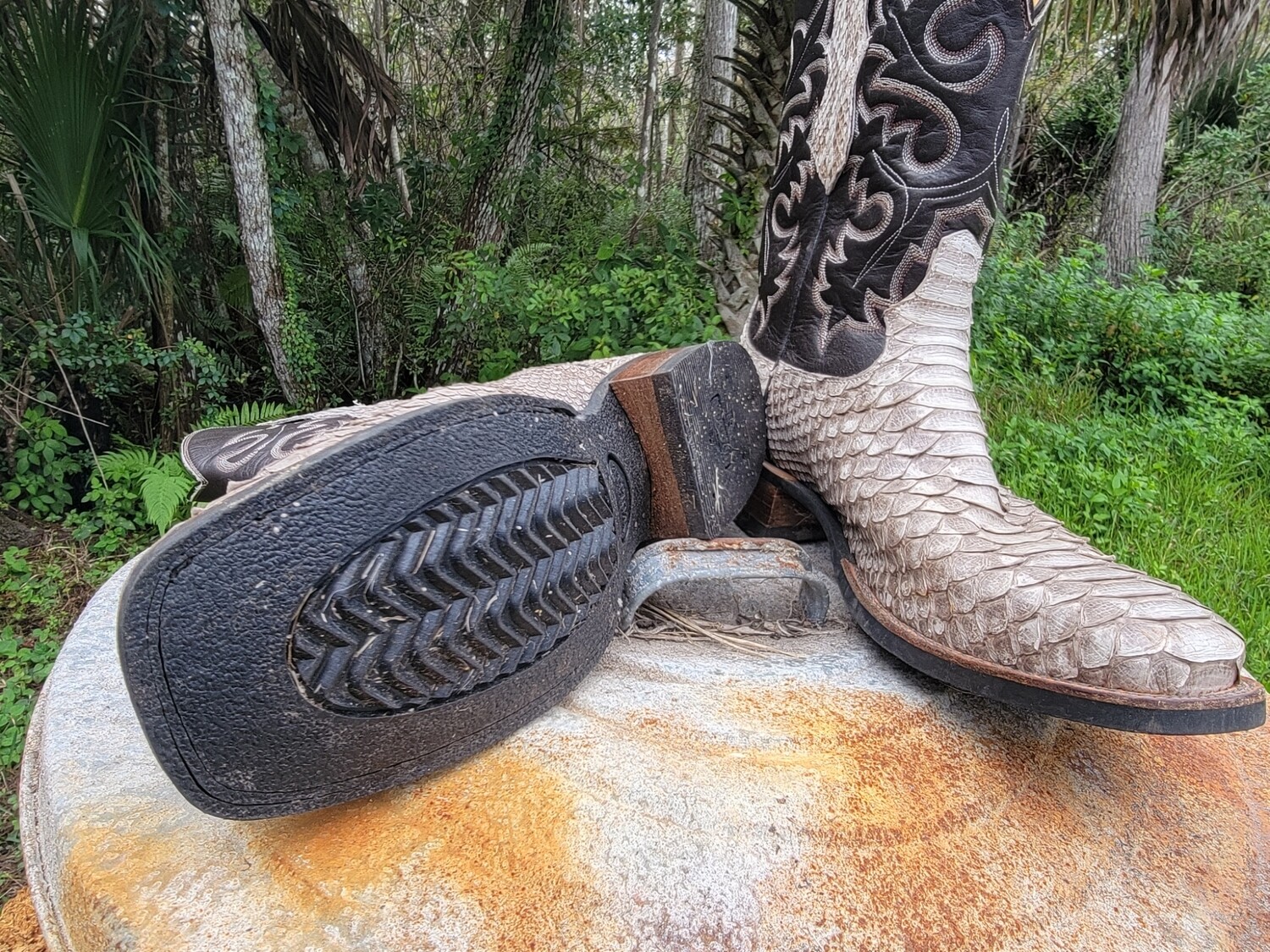 Python Wildman - The Defender of the Everglades | Savin' the Glades one ...