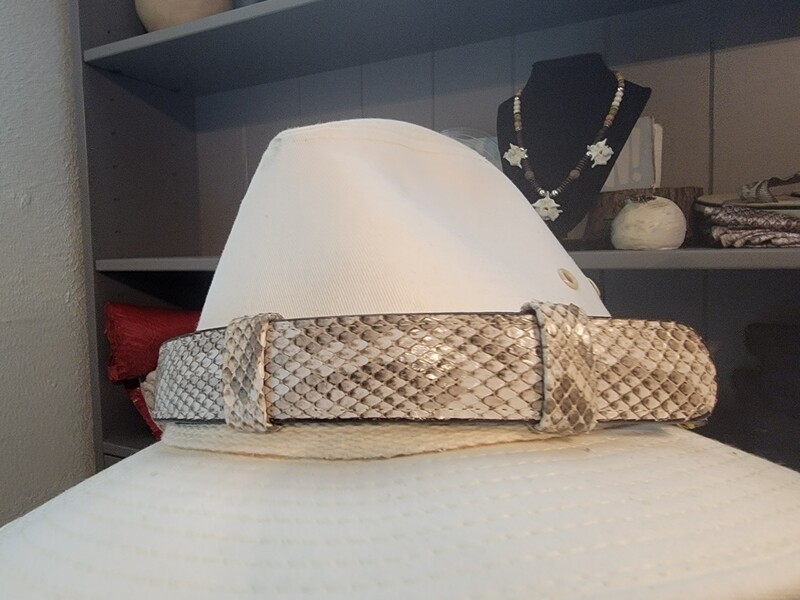 Python Wildman - The Defender of the Everglades | Savin' the Glades one ...