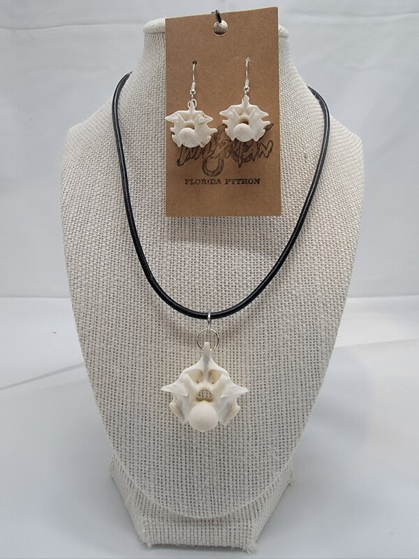 Python Wildman - The Defender of the Everglades | Savin' the Glades one ...