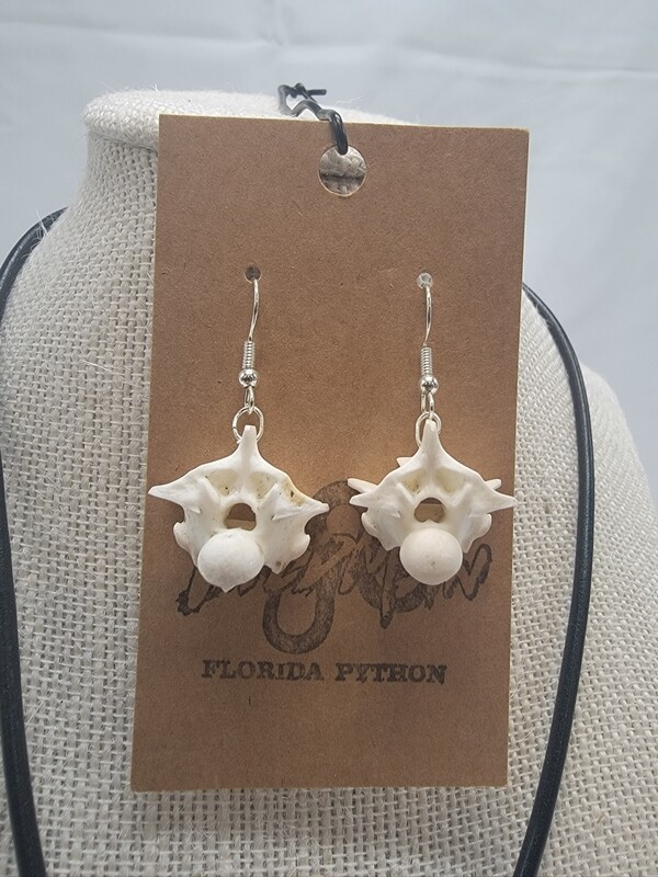 Python Wildman - The Defender of the Everglades | Savin' the Glades one ...