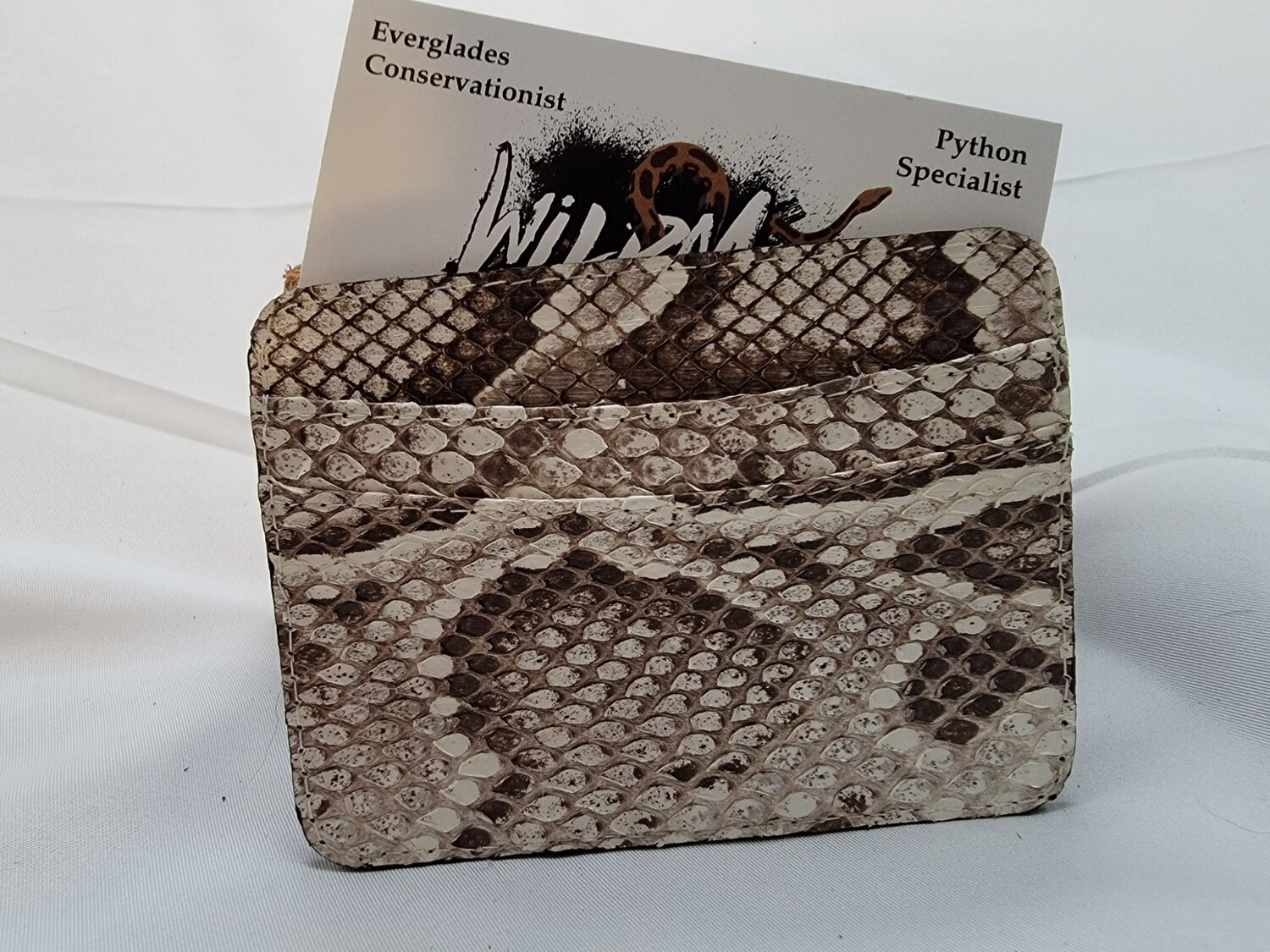 Python Wildman - The Defender of the Everglades | Savin' the Glades one ...