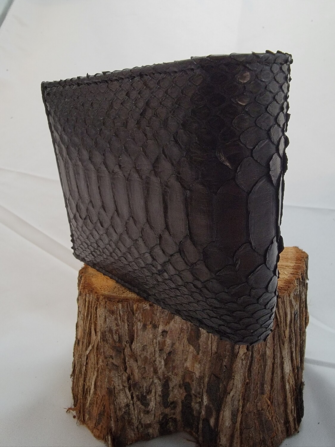 Python Wildman - The Defender of the Everglades | Savin' the Glades one ...