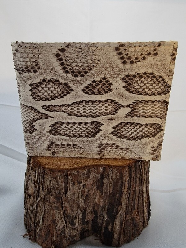 Python Wildman - The Defender of the Everglades | Savin' the Glades one ...