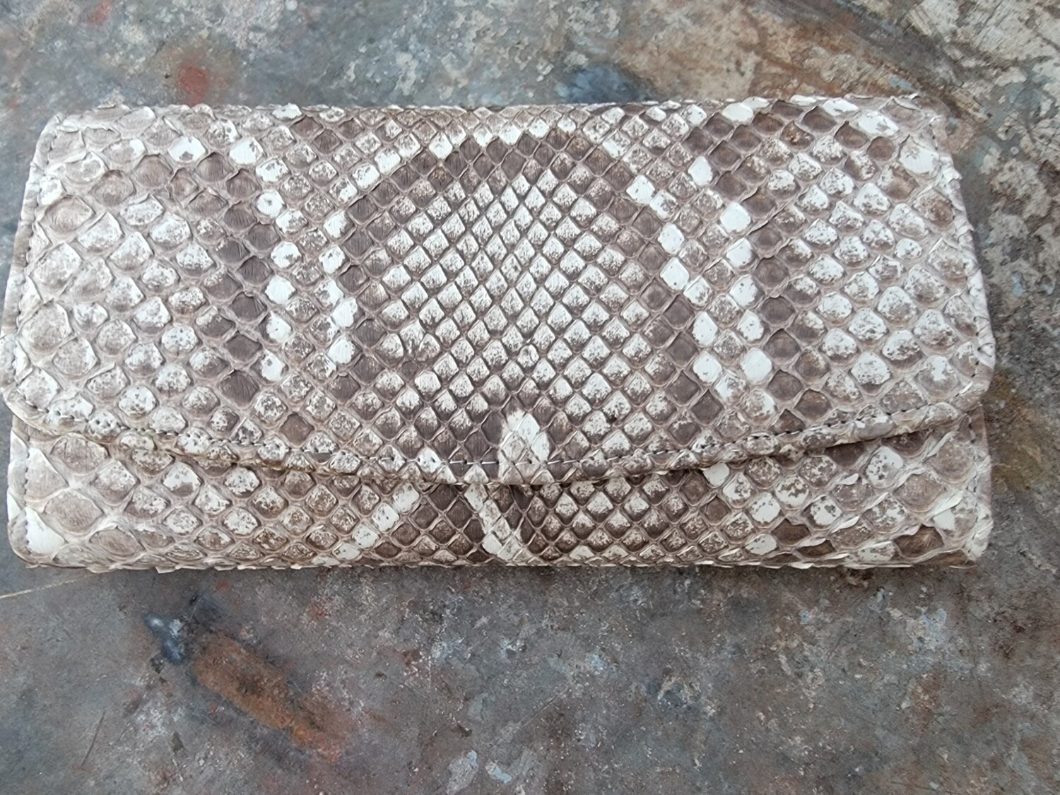 Python Wildman - The Defender of the Everglades | Savin' the Glades one ...