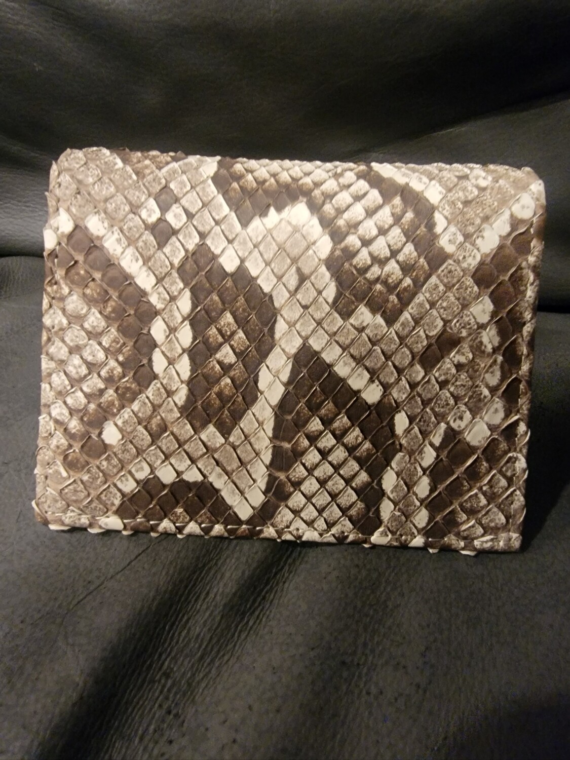 Python Wildman - The Defender of the Everglades | Savin' the Glades one ...