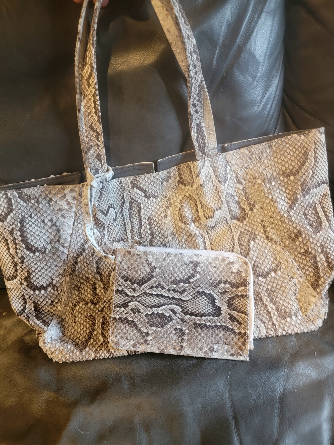 Python Wildman - The Defender of the Everglades | Savin' the Glades one ...