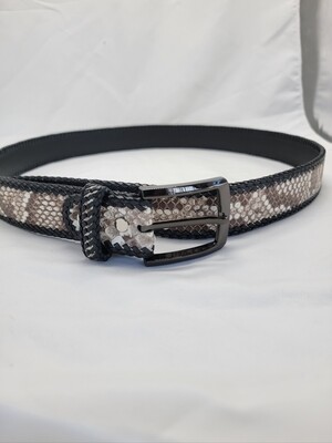 Python Wildman - The Defender of the Everglades | Savin' the Glades one ...