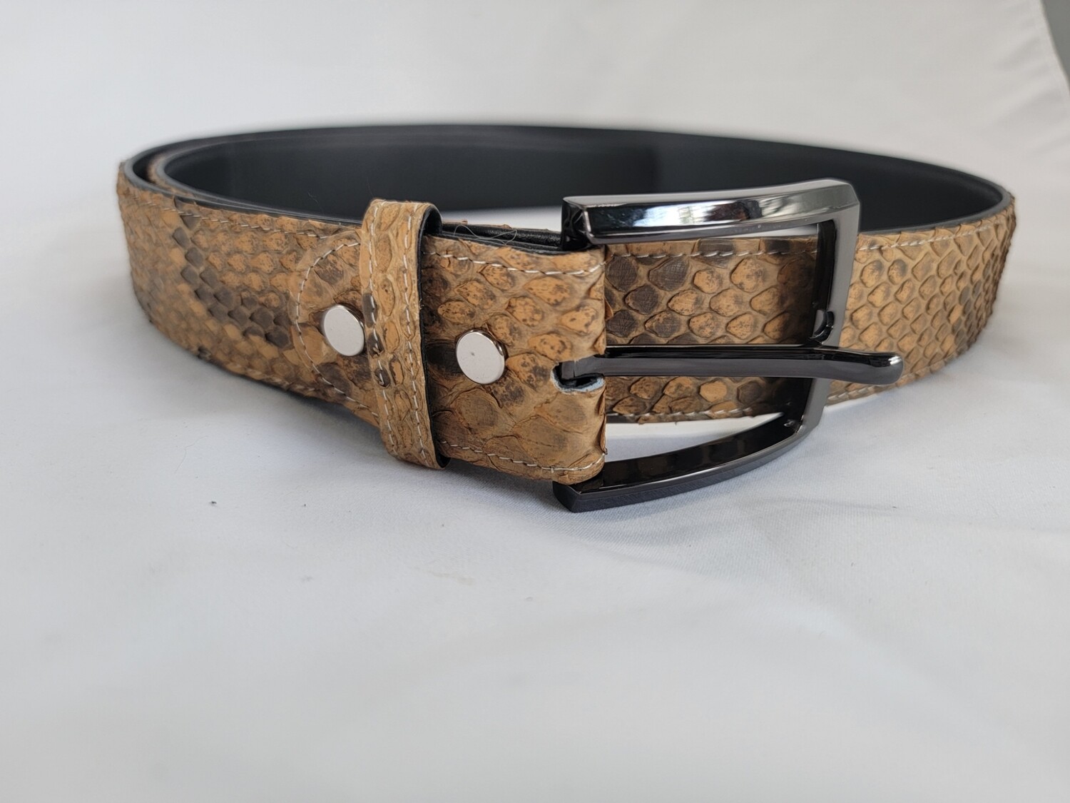 Python Wildman - The Defender of the Everglades | Savin' the Glades one ...