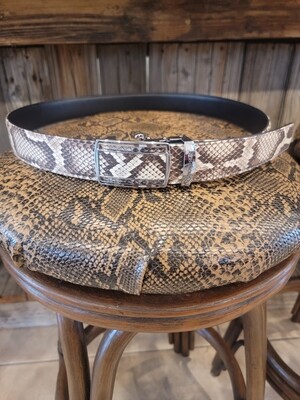 Python Wildman - The Defender of the Everglades | Savin' the Glades one ...