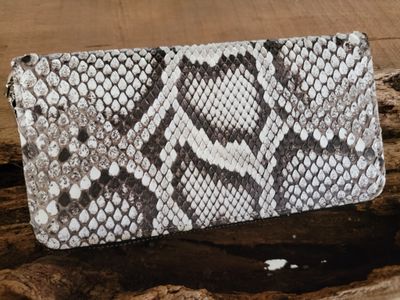 Python Wildman - The Defender of the Everglades | Savin' the Glades one ...