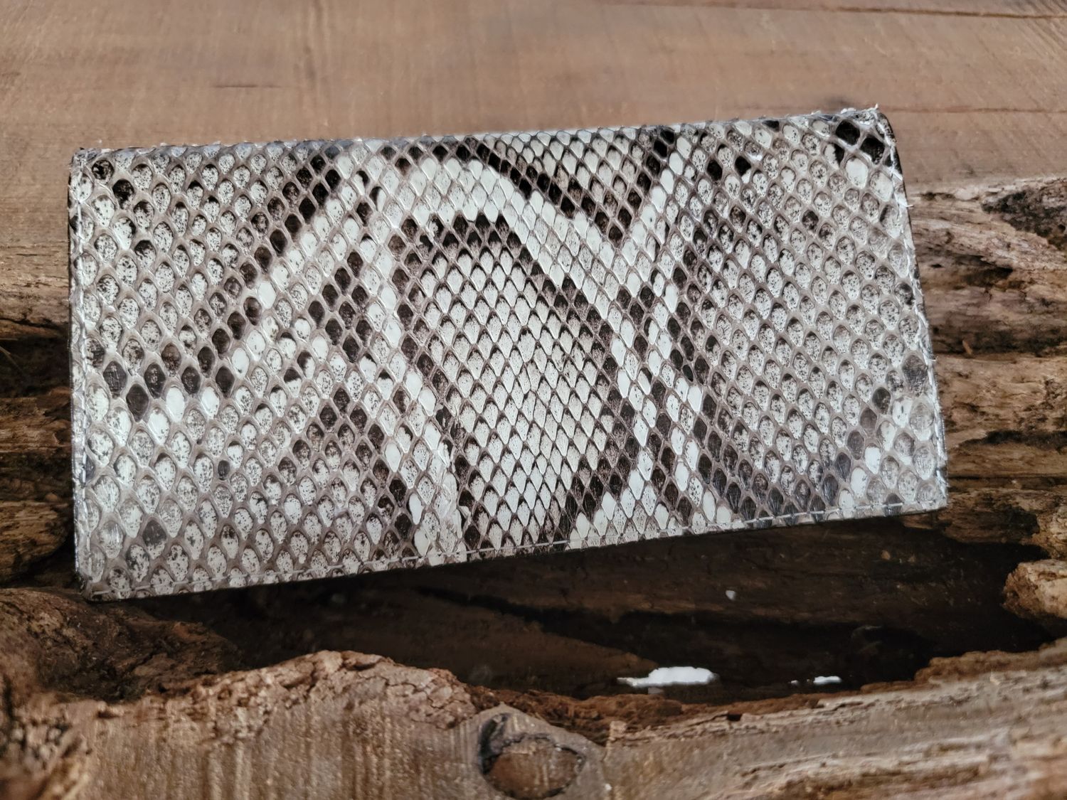 Python Wildman - The Defender of the Everglades | Savin' the Glades one ...