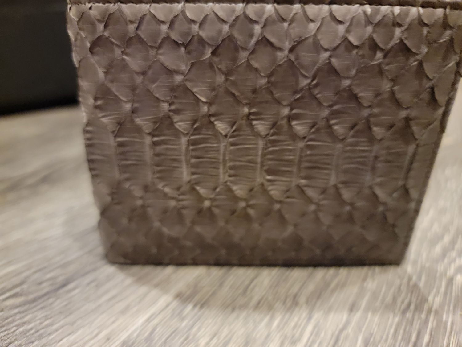 Python Wildman - The Defender of the Everglades | Savin' the Glades one ...