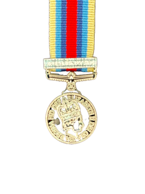 MountMyMedals - Shop