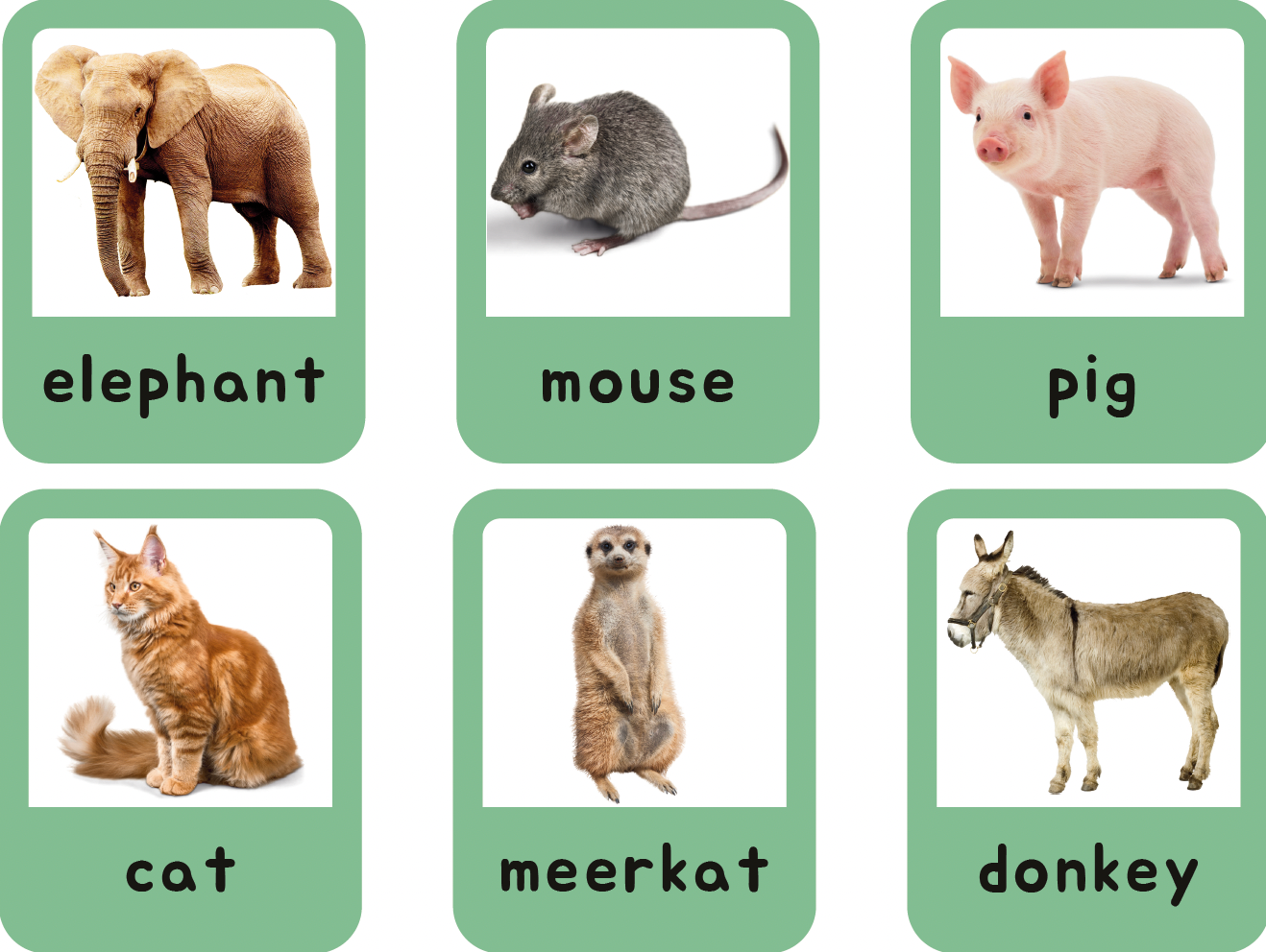 Engaging Animal Flashcards for Early Learners | 48 Adorable Animals ...