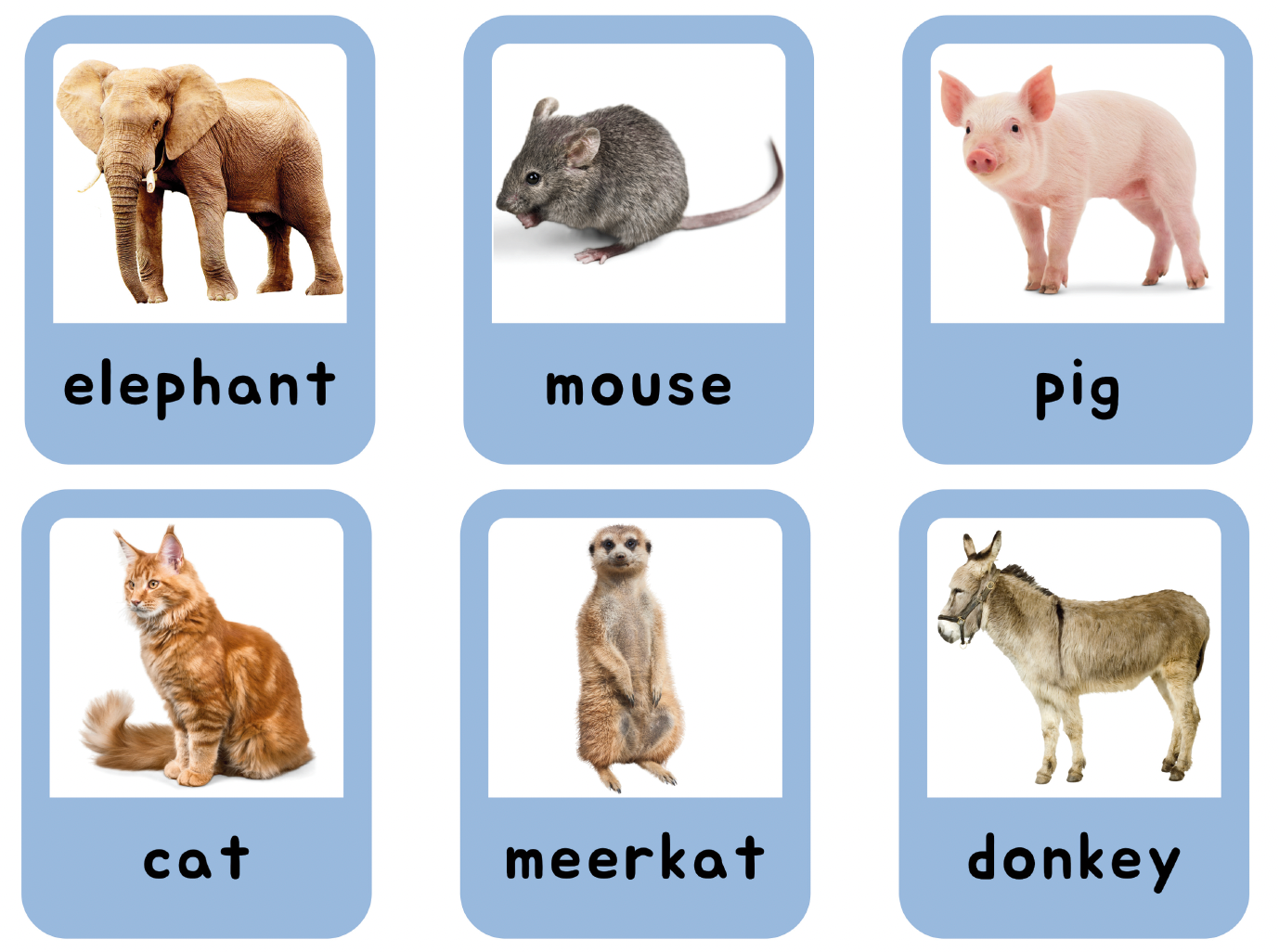 Engaging Animal Flashcards for Early Learners | 48 Adorable Animals ...