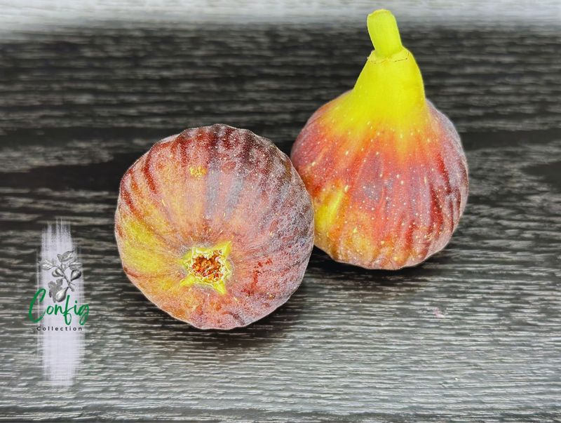 Smochin Ficus carica Black Madeira KK C2