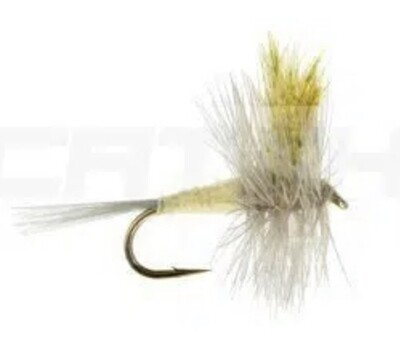 Dry Fly