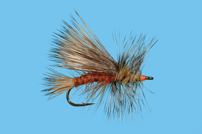 Dry Fly