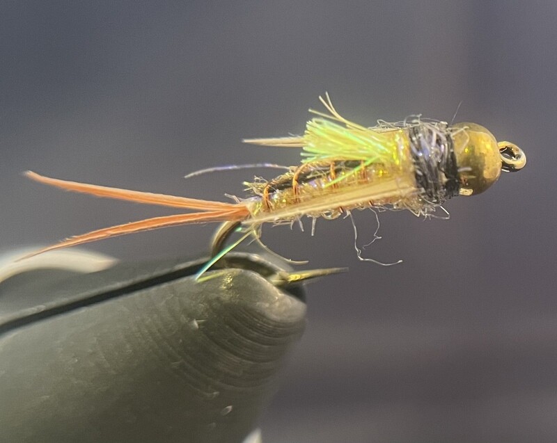 Clearance Flies