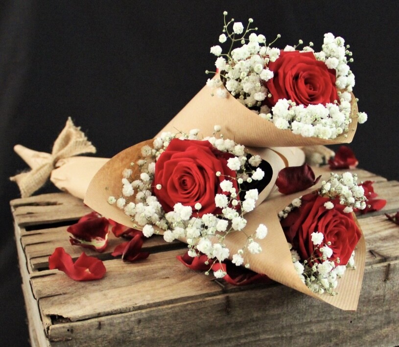 Single Red Rose Wrapped