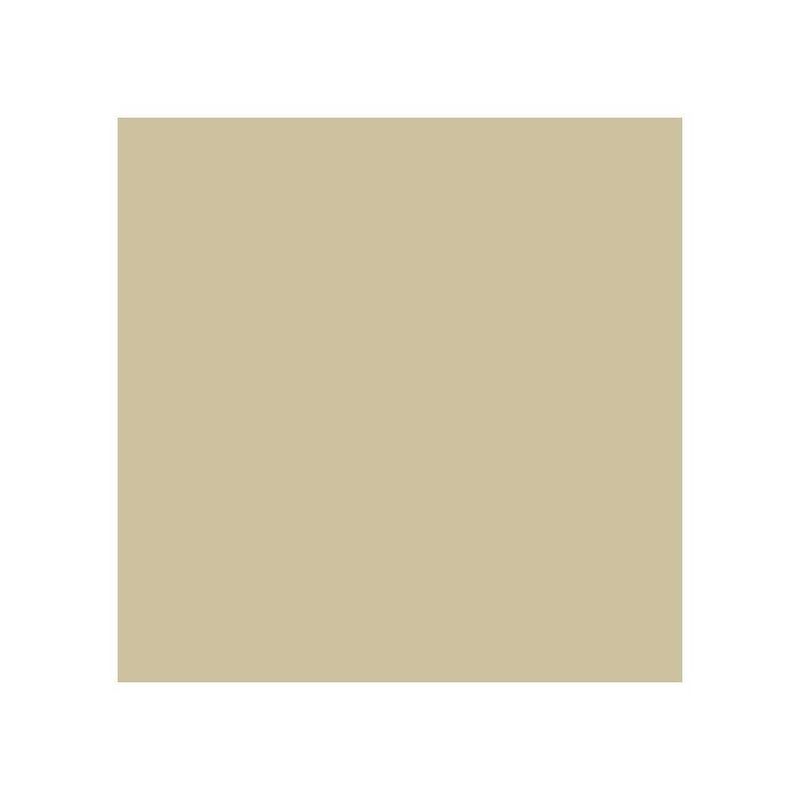 Oracal 651 Vinyl (5 Year) Beige 082