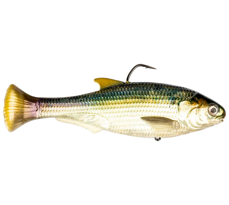 Z-Man ElaZtech Soft Plastic Lures – Store – Eye Strike Fishing