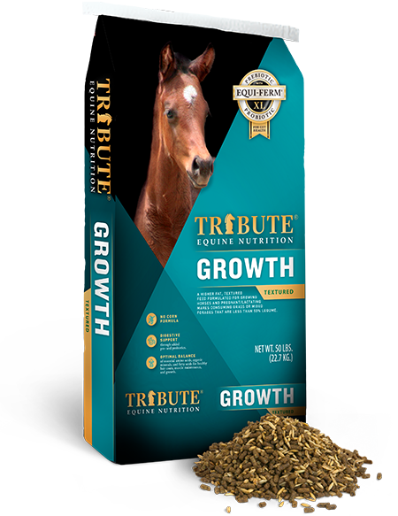 Tribute Growth/Maturnity 16% Horse Feed