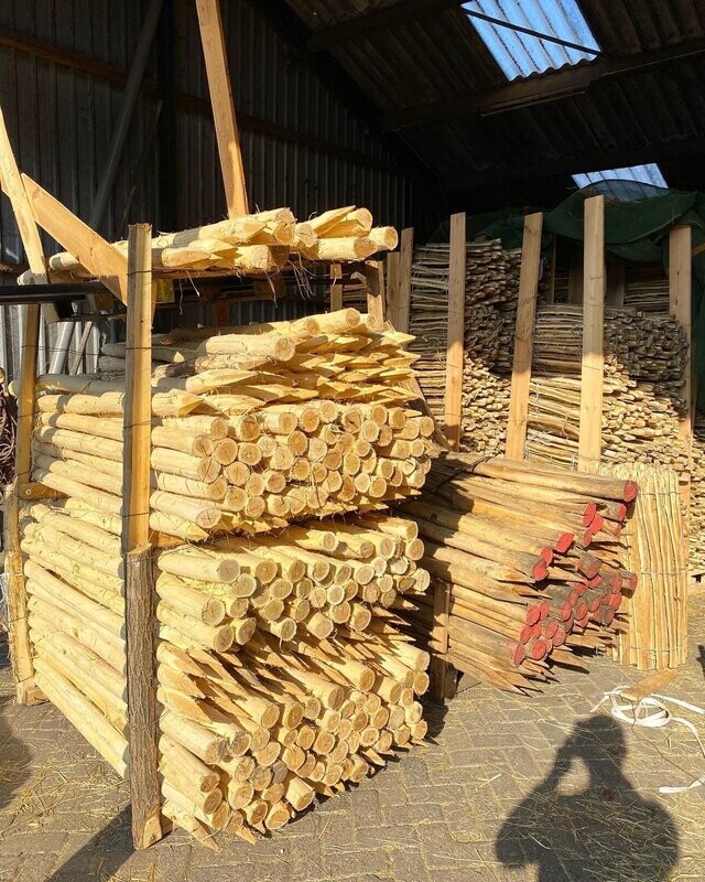 Welkom bij Wout is Hout