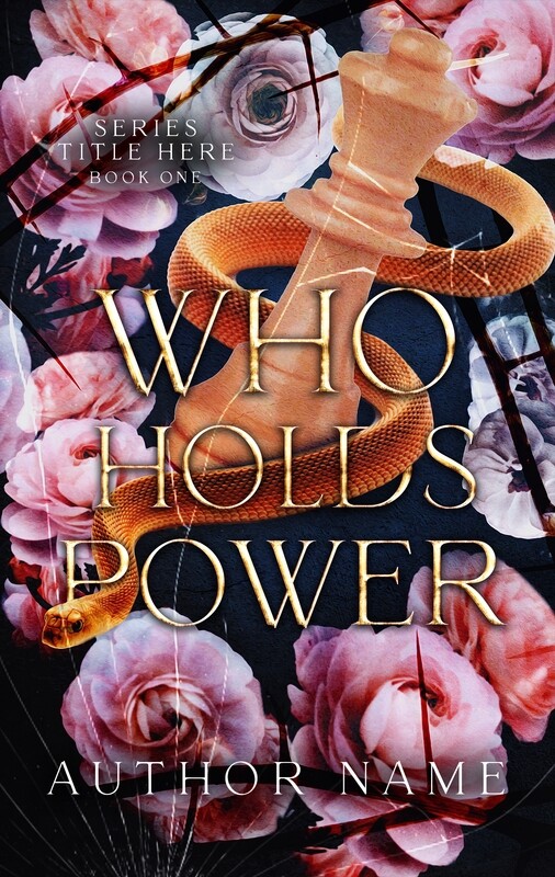 WHO HOLDS POWER