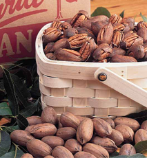 Pawnee Cracked | Inshell Pecans
