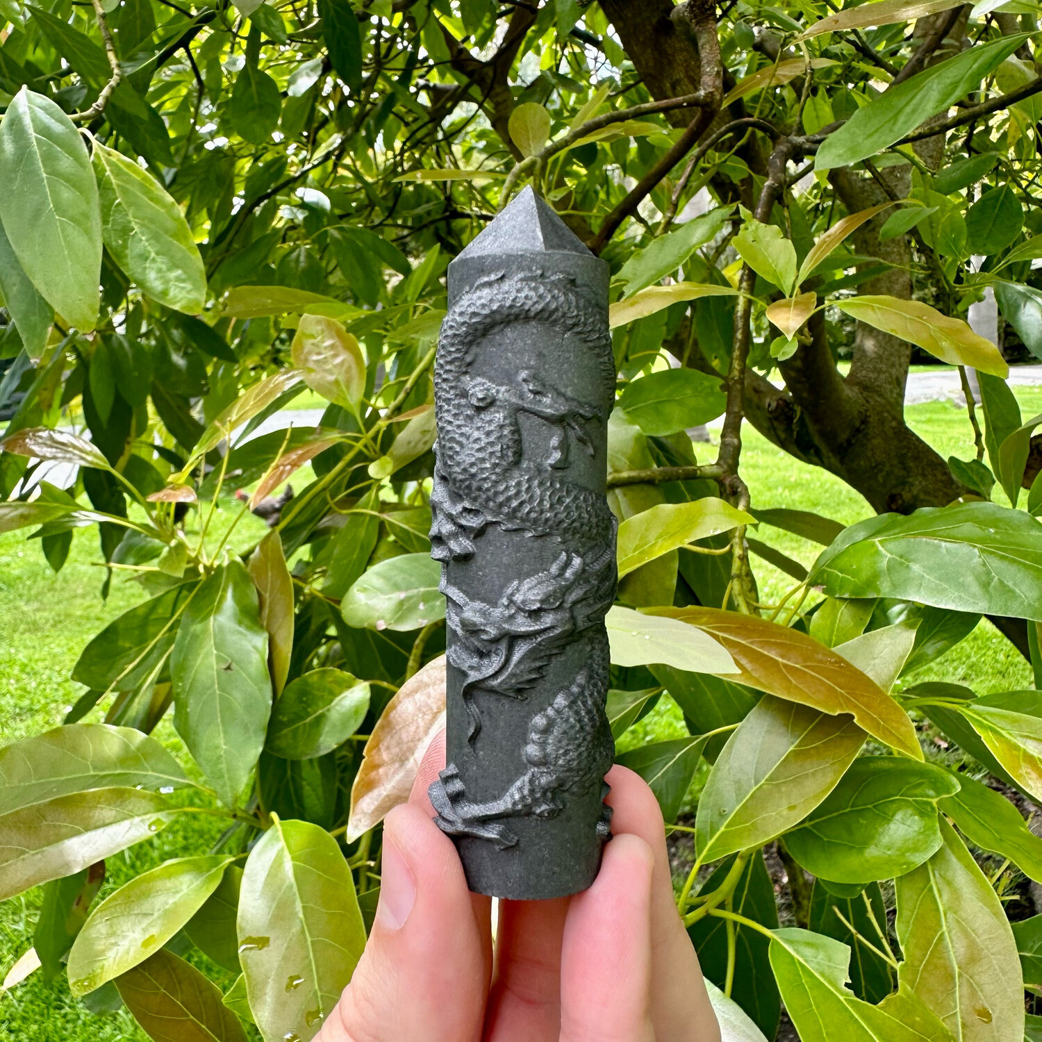 Shungite Dragon Point