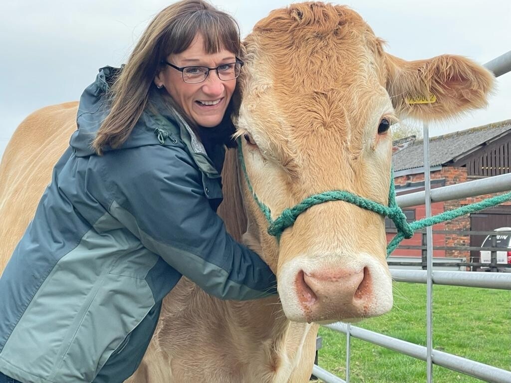 Exclusive Cow Cuddle & Farm Animal Experience For Two