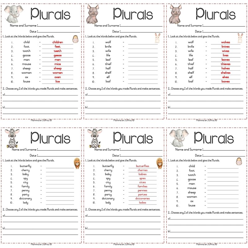 Grade 4/5 English Plurals Exercises