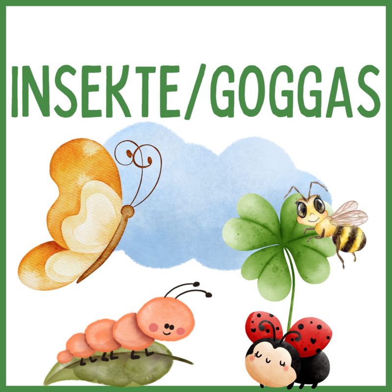 INSEKTE / GOGGAS