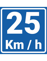 25 km/h
