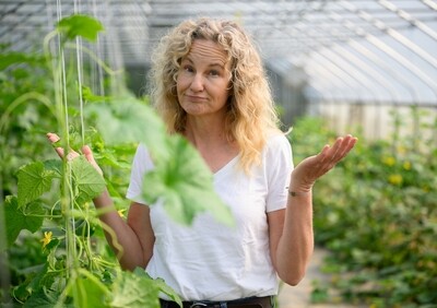 Store - Oak Spring Farm
