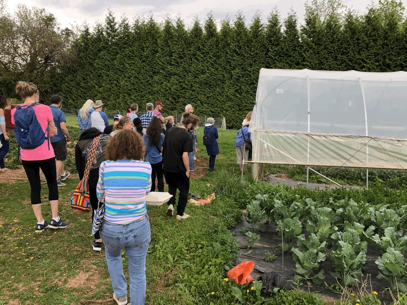 Store - Oak Spring Farm