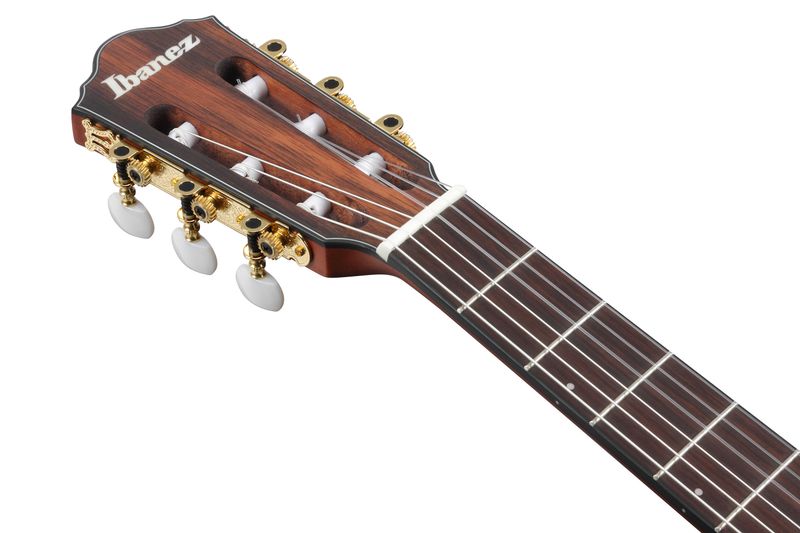 Ibanez FRH10NRGF - Rose Gold Metallic Flat - Thinline Nylon String ...