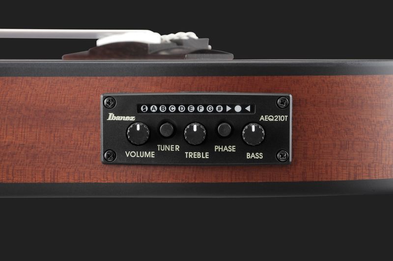 Ibanez FRH10NRGF - Rose Gold Metallic Flat - Thinline Nylon String ...