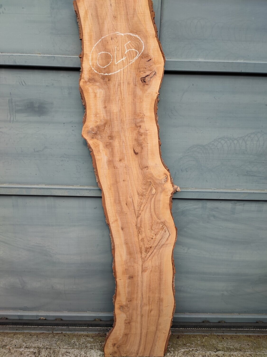 Plateau planche d'orme rouge. Bois brut