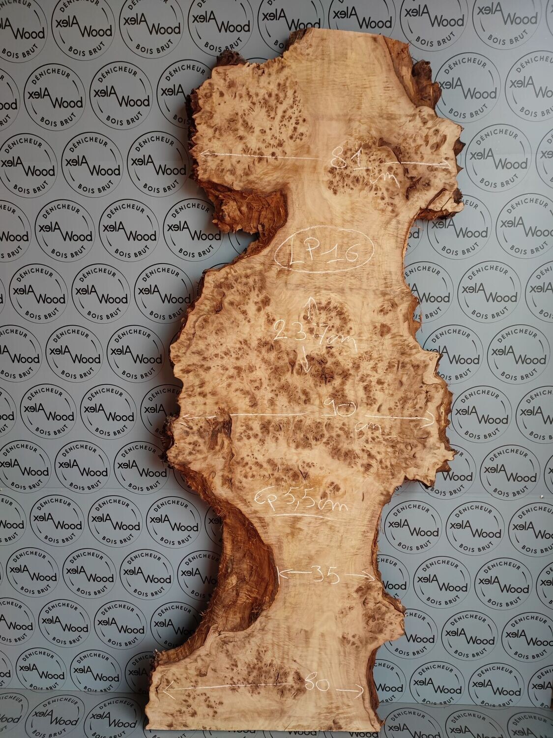 Plateau de loupe de peuplier