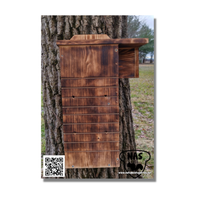 Products — Nuts about Squirrels