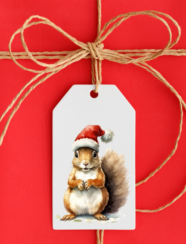 10 Assorted Squirrel Gift Tags