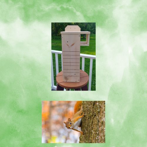 Red Squirrel Nest Boxes