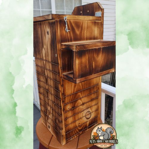 Nest Box Cams & Camera Ready Boxes