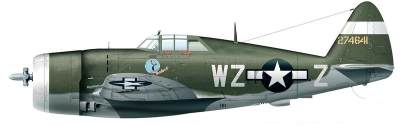 Reproduction Giant Scale P-47 Razorback