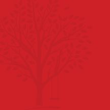 Preschool Fees & Tuition Rates - 2025/2026