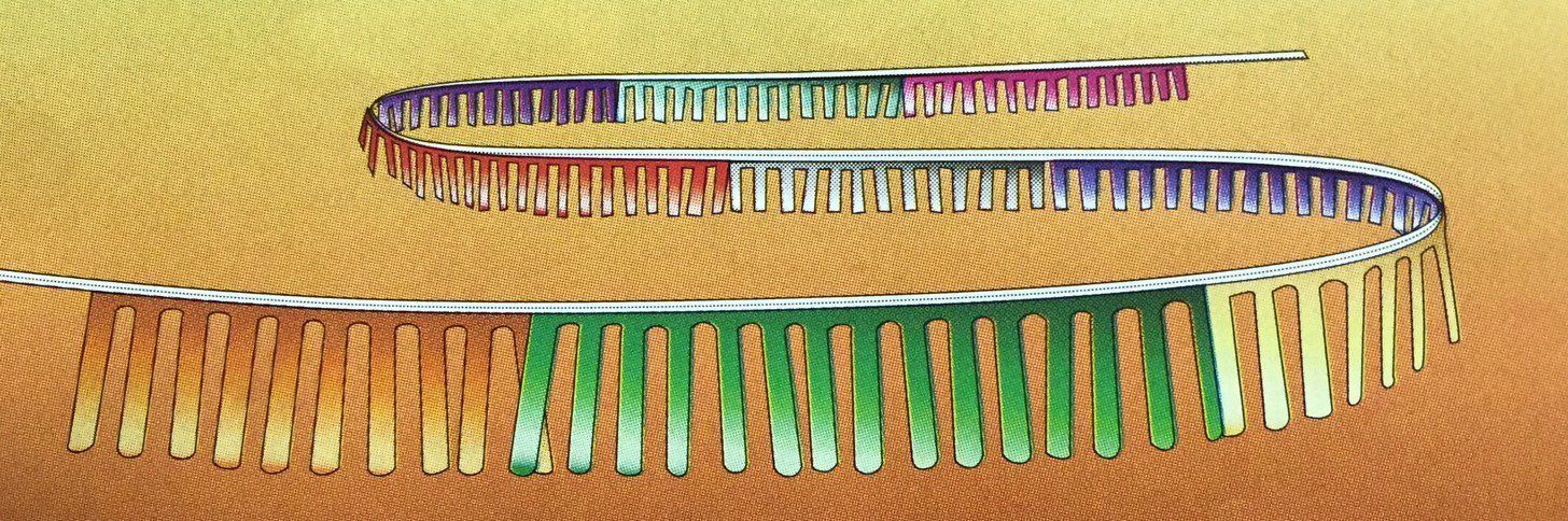 Finger-Cut Metallic Fringe Pennants - HELIUM CYLINDER EQUIPMENT ...