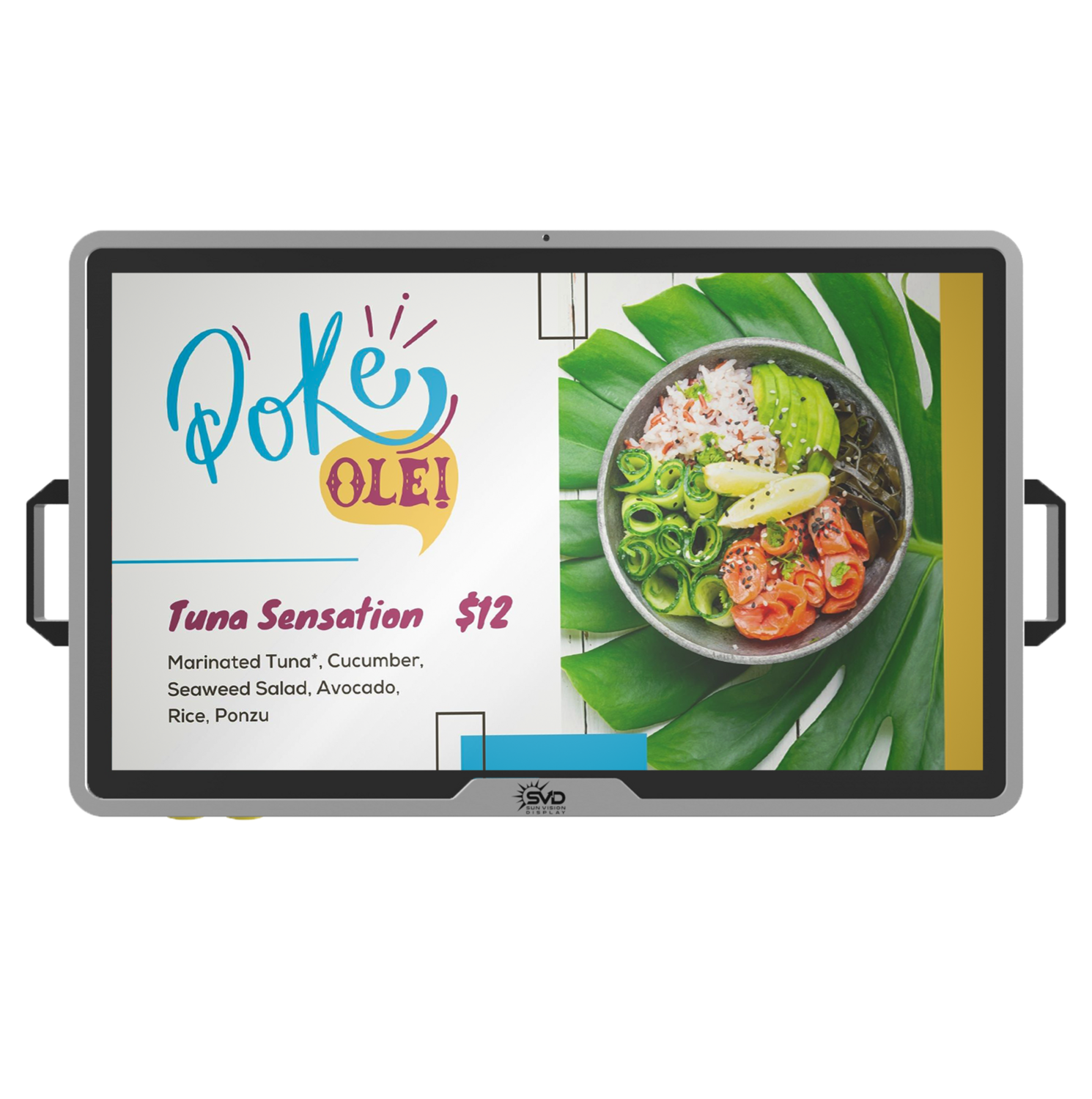 Purchase Digital Signs and RLCD Monitors | Sun Vision Display