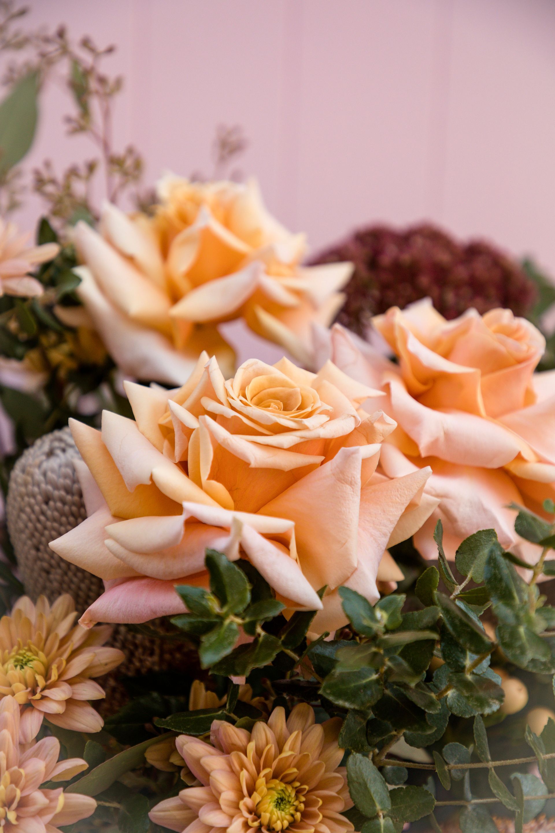 Flowers | Little Miss Flowers